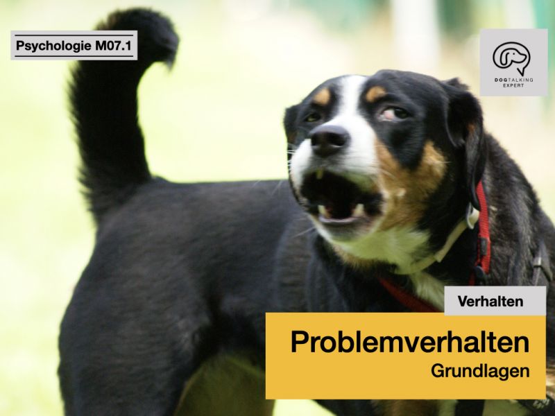 M07.1 Problemverhalten - Grundlagen | SW10089